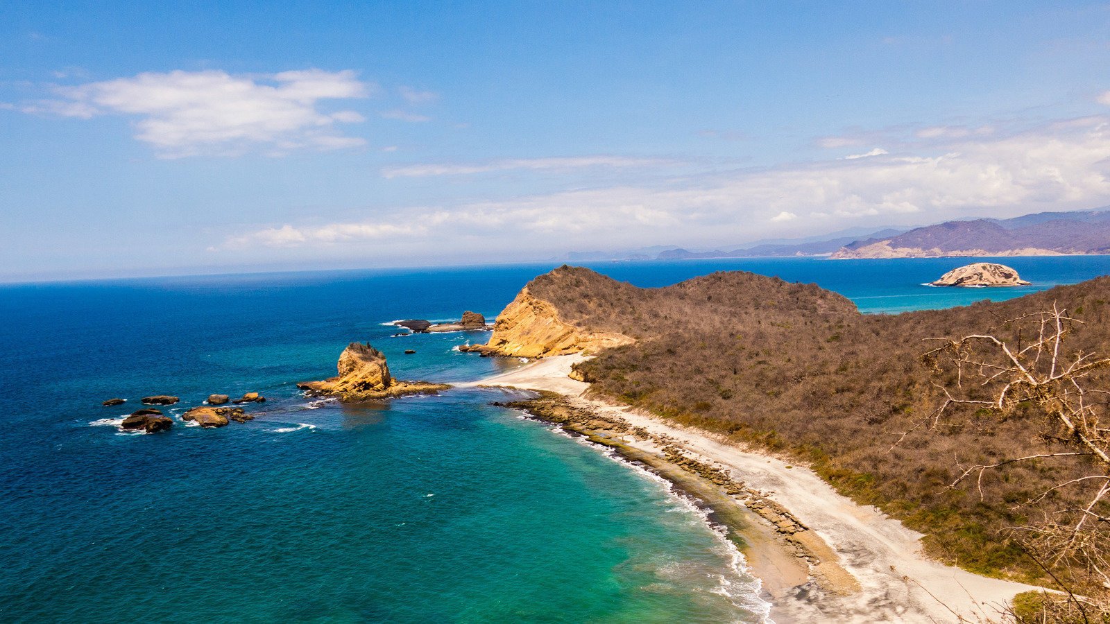 Legal framework for the protection of the environment in Ecuador